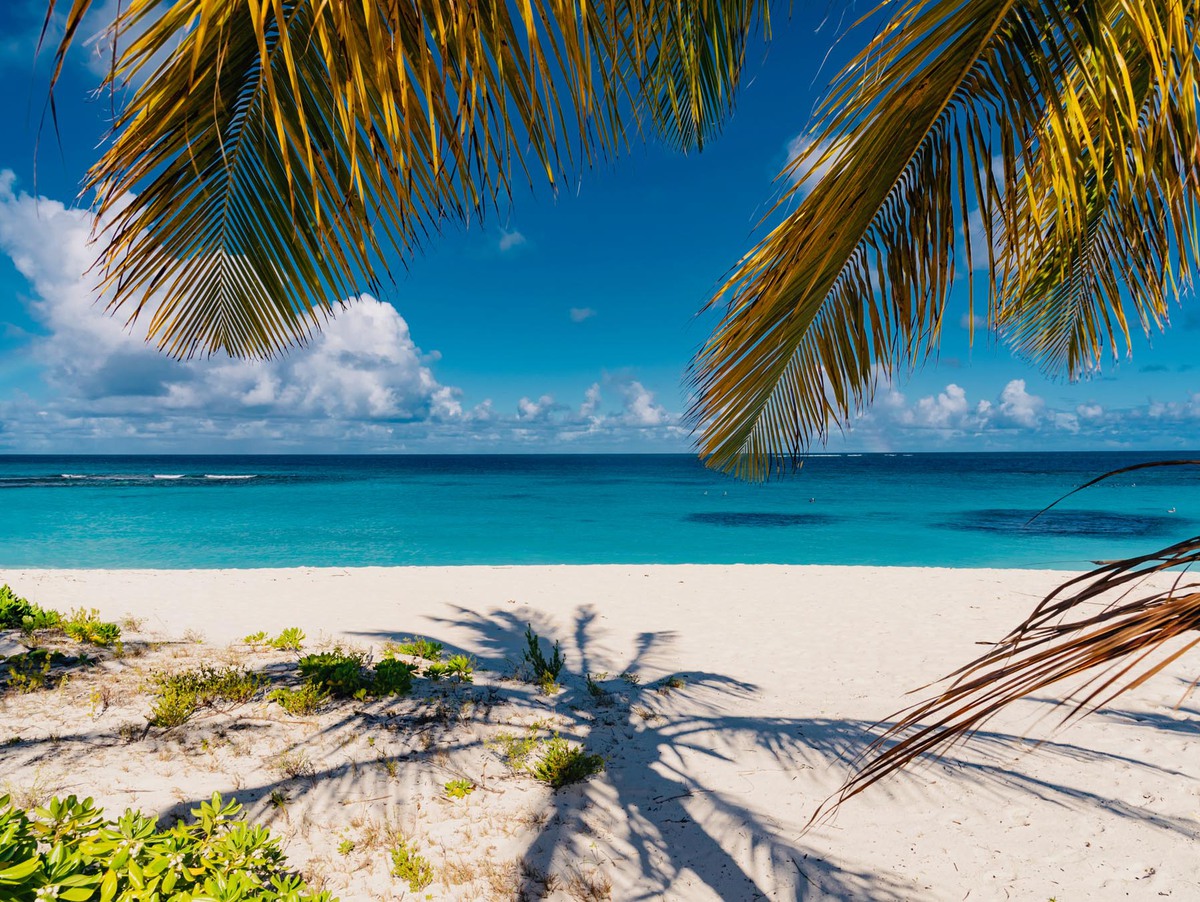 Easter in Paradise: The Perfect Time for Families to Reconnect and Relax!